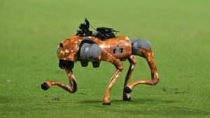 IPL Robot Name Revealed For IPL 2025's Robot Dog